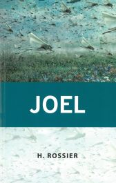 Joel - Chapter Two Online Shop